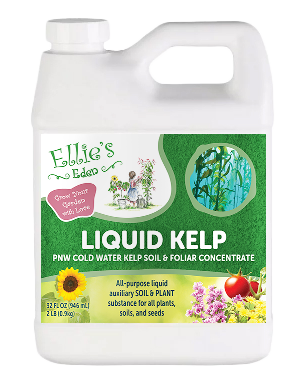Ellie's Eden Liquid Kelp – Manna Harvest