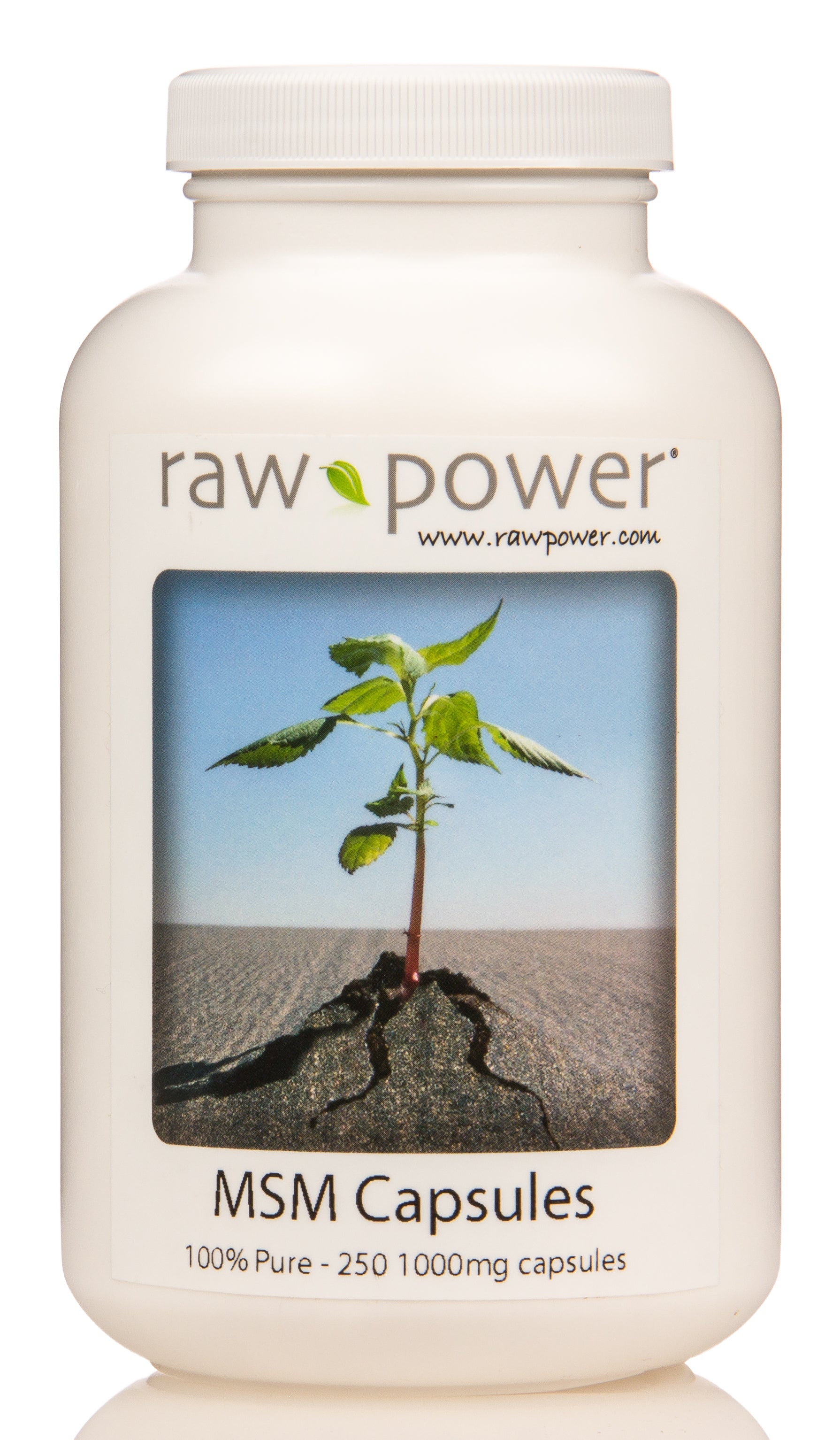 Raw Power MSM Capsules – Manna Harvest